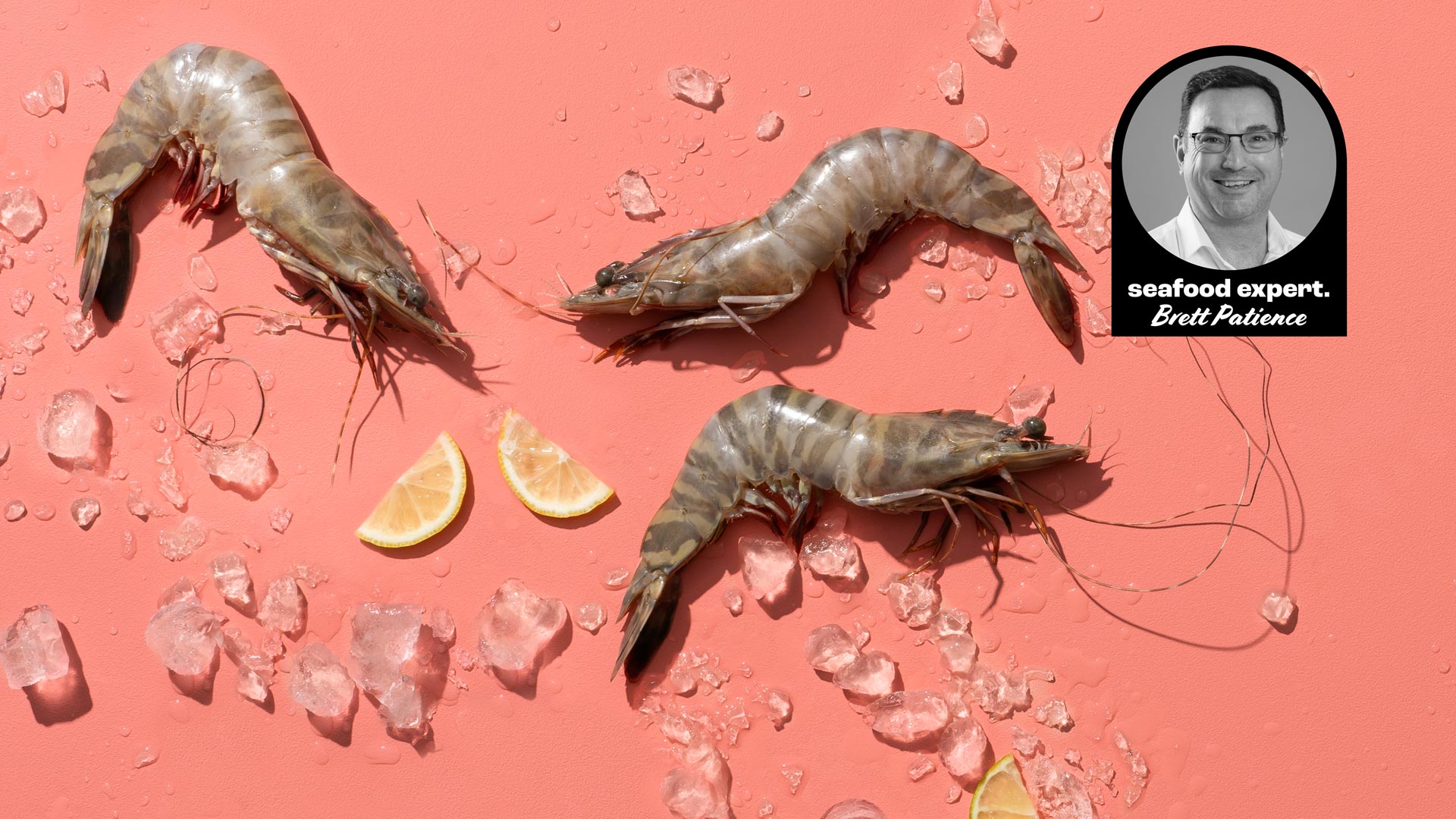 Everything to know about prawns - Bidfood Australia
