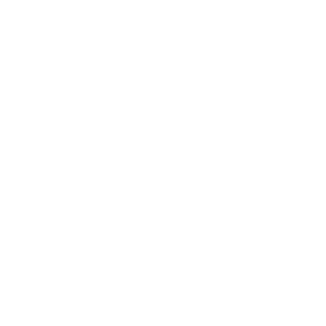 Joe + Cino - Bidfood Australia