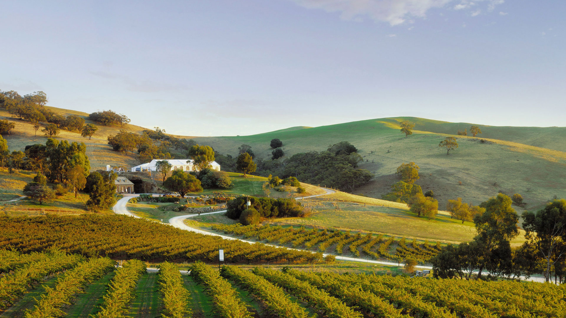 Barossa on brand - Bidfood Australia